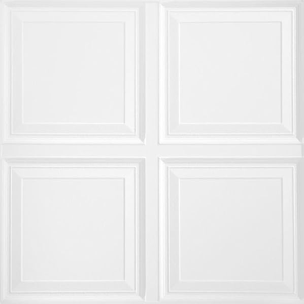 Armstrong Ceiling Tiles; 2x2 Ceiling Tiles - 6 pc White Ceiling Tiles ...
