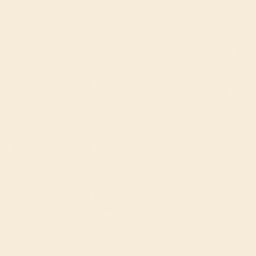 Formica Sheet Laminate - Vertical Grade - 4 x 8: Almond, Matte Finish ...