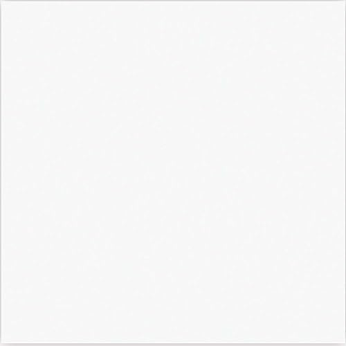 Formica Sheet Laminate - Vertical Grade - 4 x 8: Brite White, Matte ...